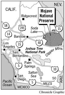 Invasive grasses making Mojave a tinderbox / Desert ecosystem and hardy ...