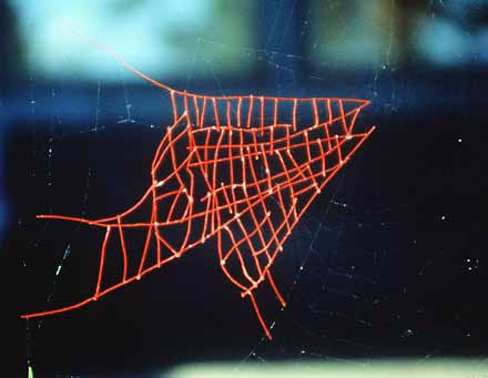 Oh What a Tangled Web We Fix / Katchadourian's art not pleasing to spiders