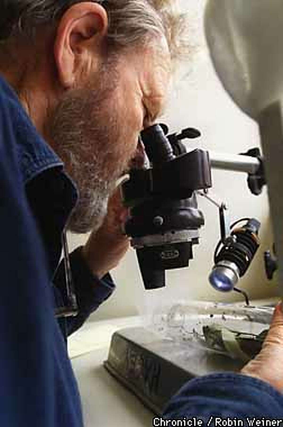 Wasps to the Rescue / Predatory insect is hope for eucalyptus