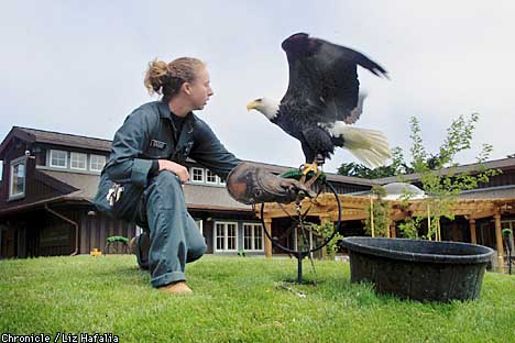 The new zoo / First phase of redesign offers more space, a touch of the ...