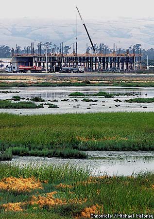 Our Poisoned Bay / Despite end to direct piping of sewage, pollution ...