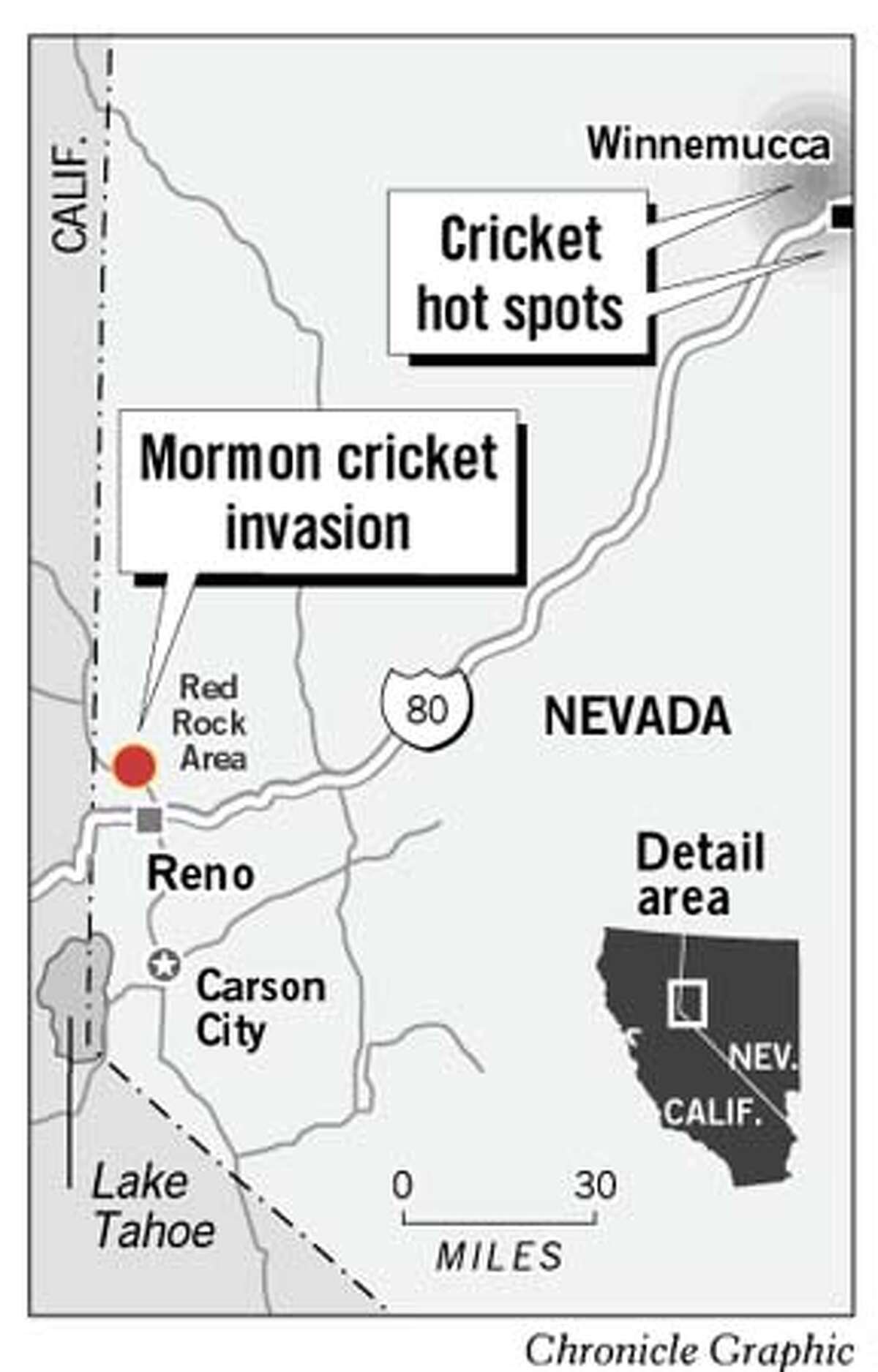 Big, ugly, stinky bugs taking over Nevada / Mormon crickets threaten ...