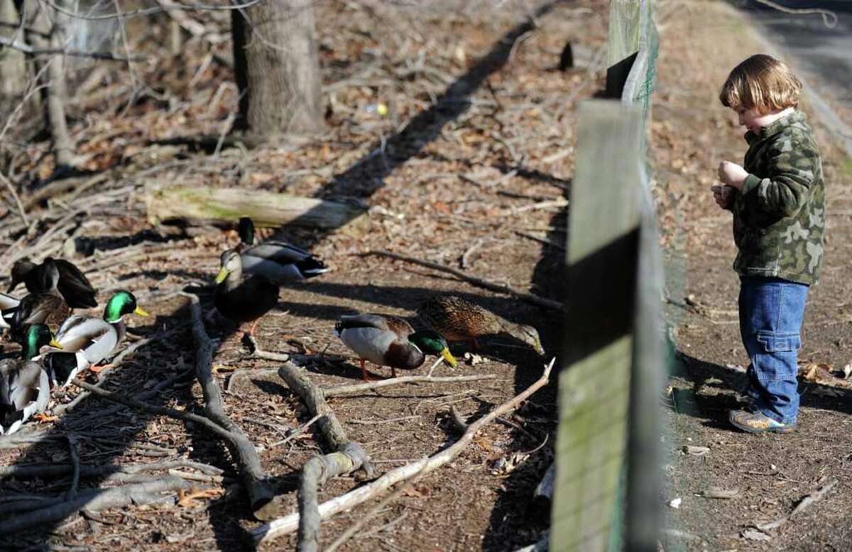 What's up with this warm winter weather?