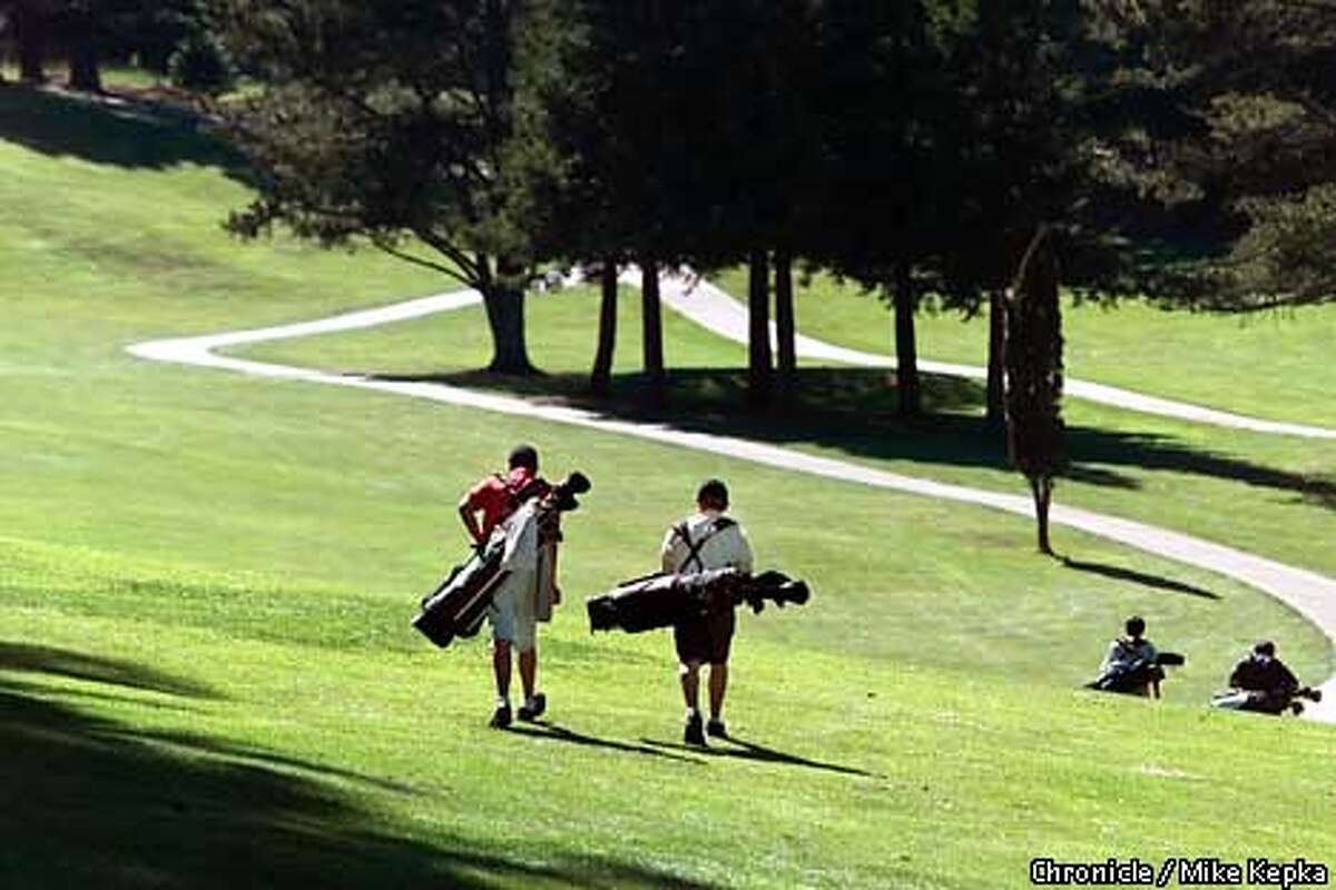 Freshmen a force for Berkeley High boys' golf / Yellow Jackets share ...