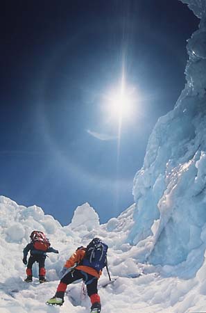 IMAX Adds Dimension To Movies / Stunning nature films open Metreon theater