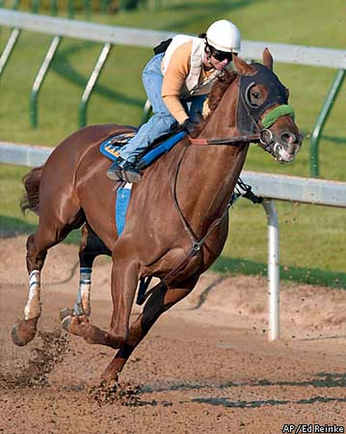 Point Given is the really huge favorite / Big Baffert-trained horse ...