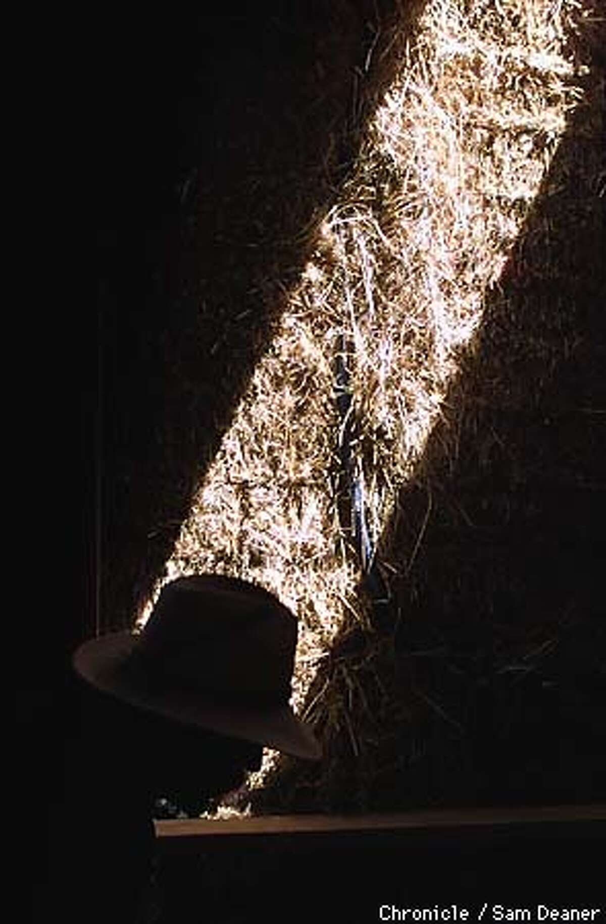 THE HOUSE OF STRAW / Walls made of bales turn heads in Los Altos Hills
