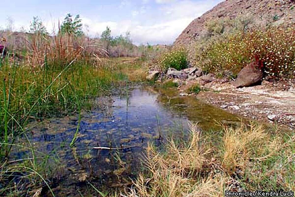 Water Controversy Percolates in Desert / Plan to funnel Colorado River ...