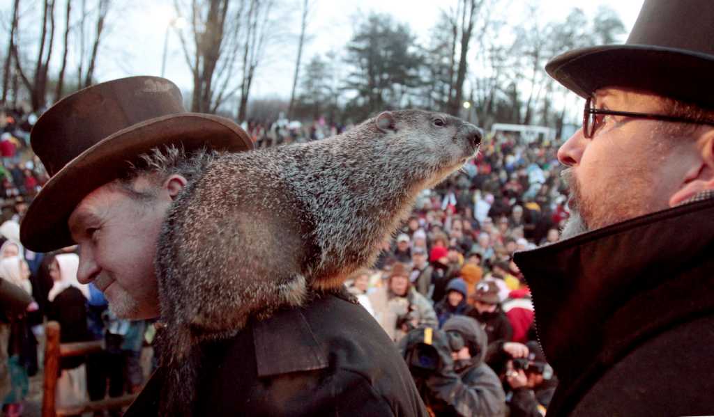 Bites and escapes: When groundhogs misbehave