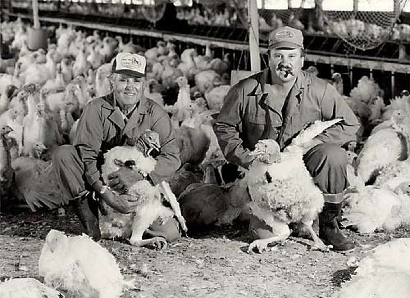 SHELL-ABRATING / PETALUMA'S PAST / Annual egg parade pays homage to ...