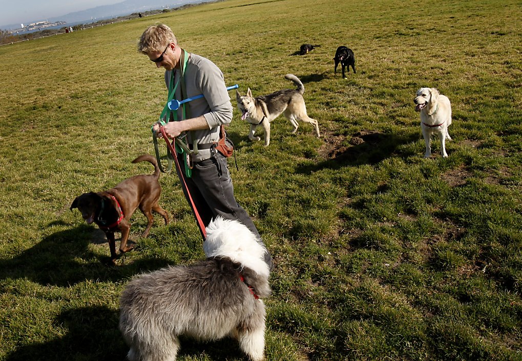 Best wildland areas to take your dog