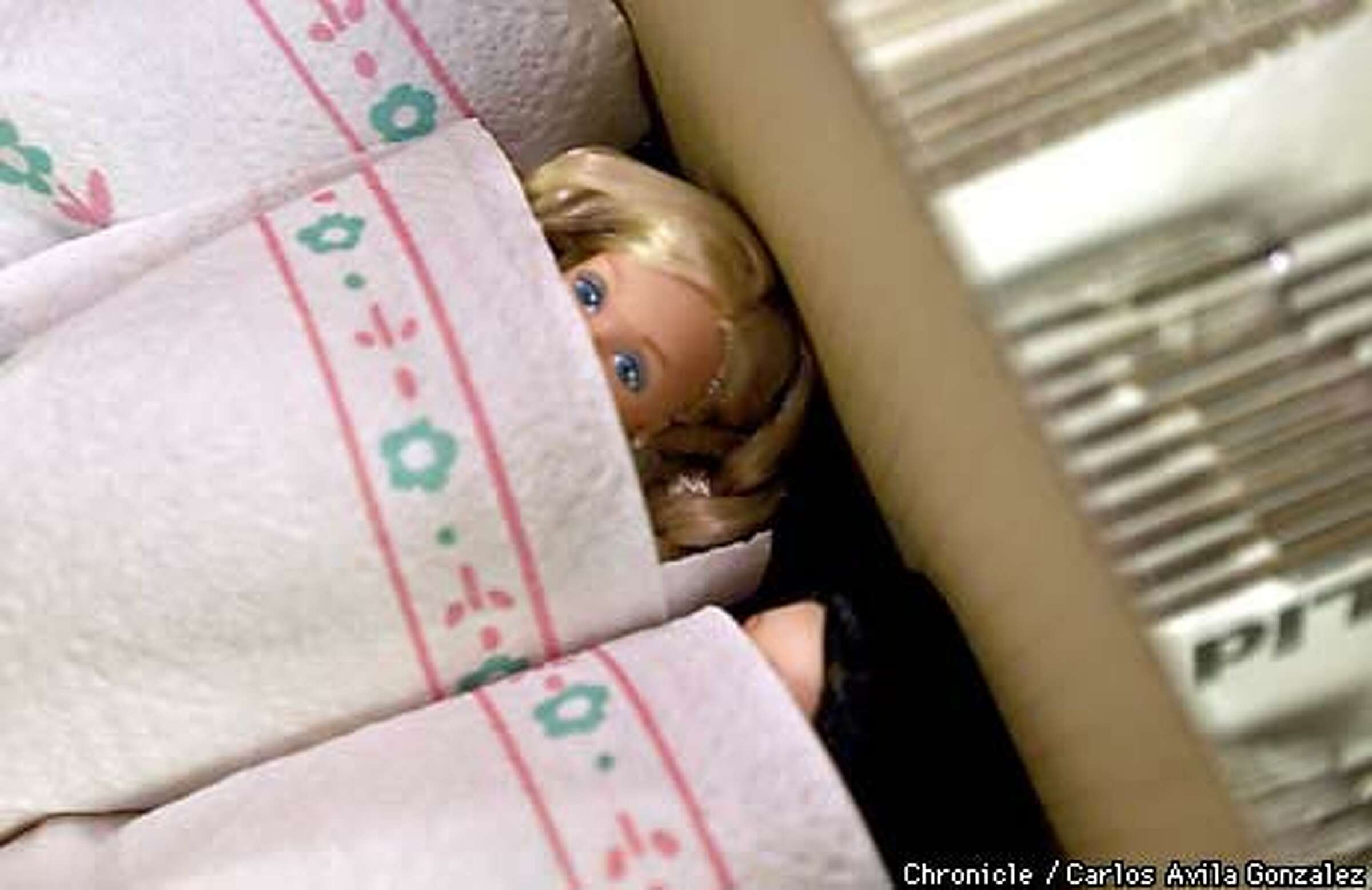 Evicted Barbie / Museum owner who lost Palo Alto lease finds lanky doll ...