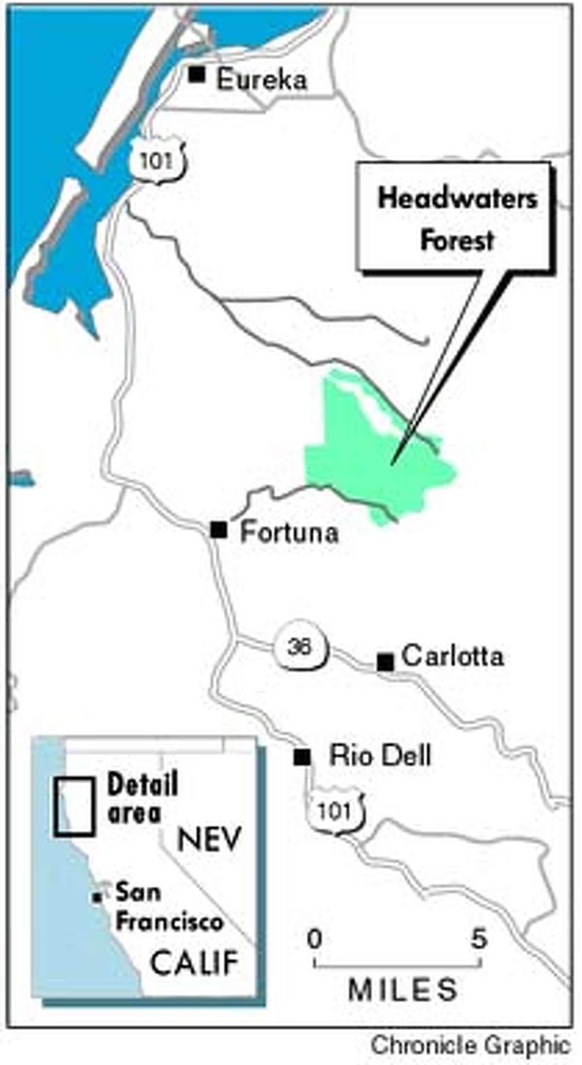 HEADWATERS OPENS UP / The public will soon be able to explore the grove ...