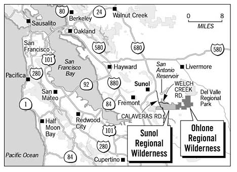 Keeping an Eagle Eye Out at Sunol