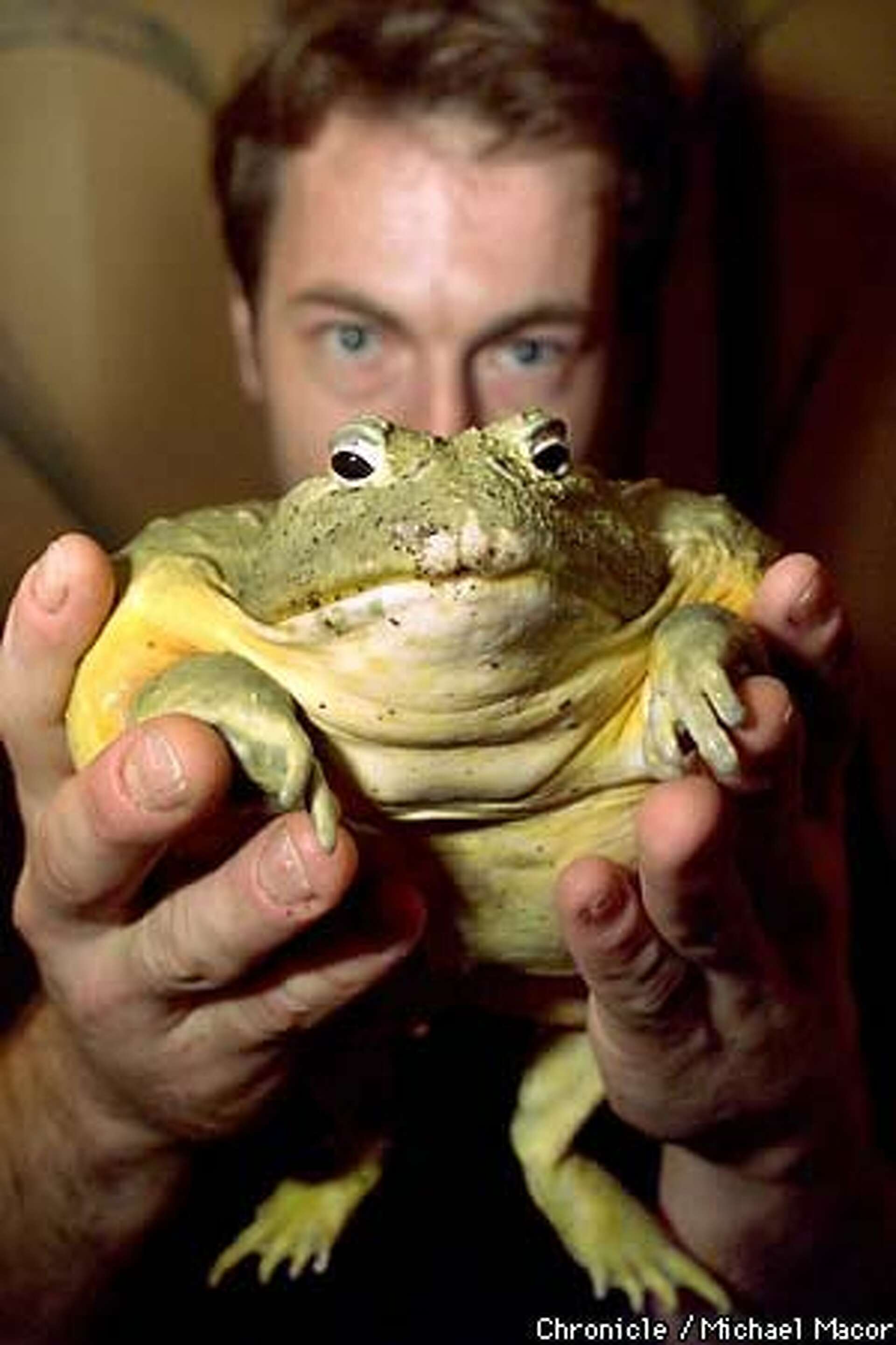COOL, CREEPY STUFF / Frogs and toads jump to life at Exploratorium