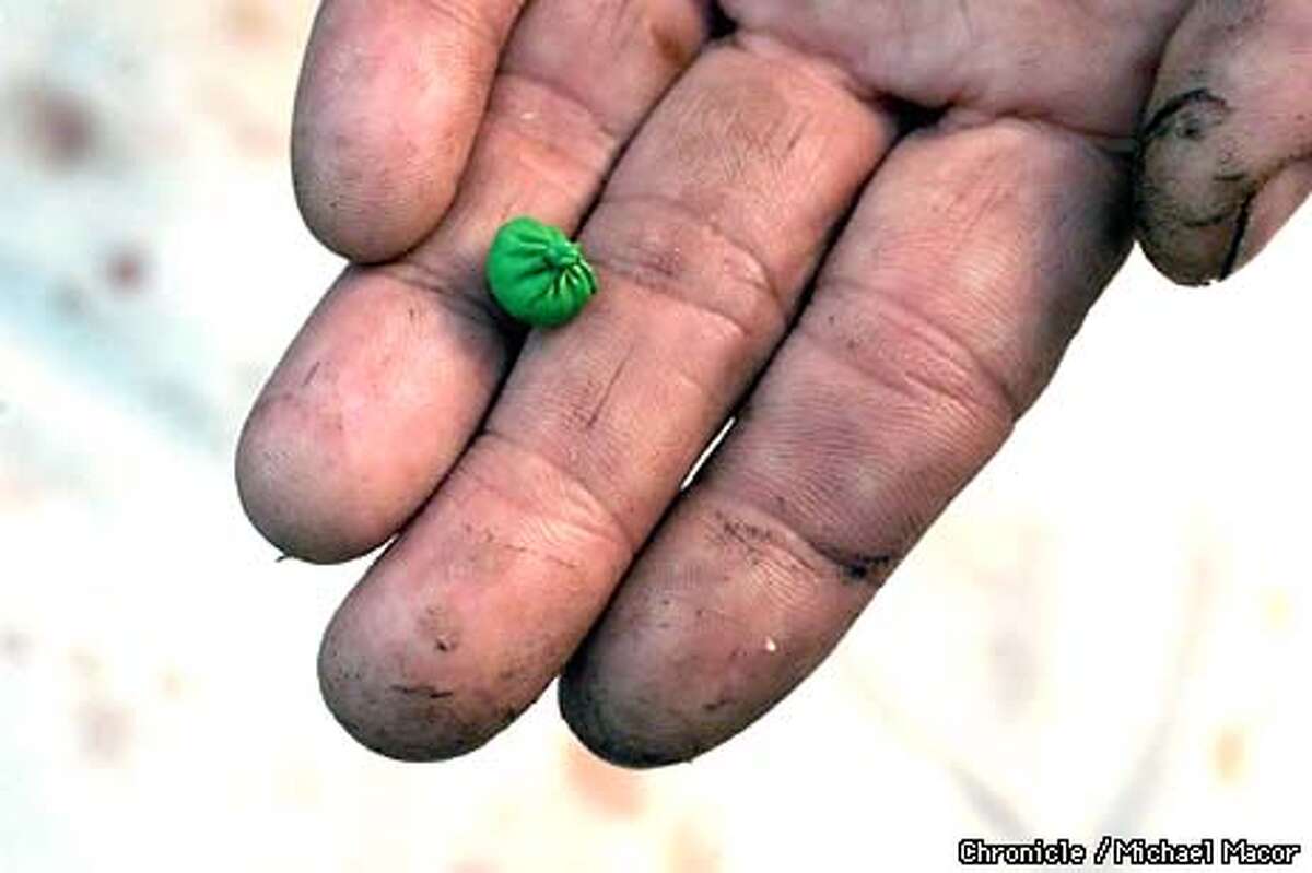 Young, Rich and Strung Out / Heroin emerging as drug of choice for Bay ...