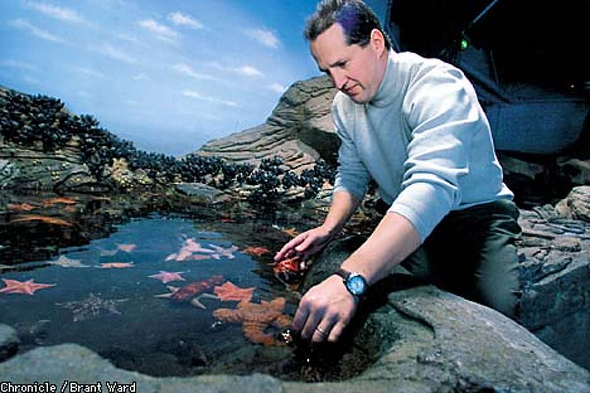 Bridge Over Troubled Water / New aquarium owners hope to hook visitors ...