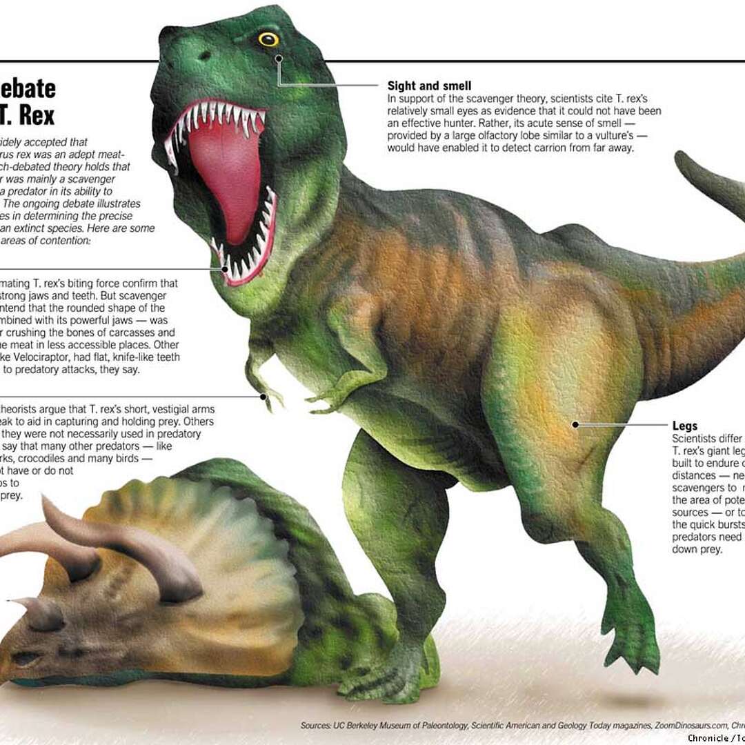 Rattling Bones / Paleontologists debate T-rex's nature as predator or ...