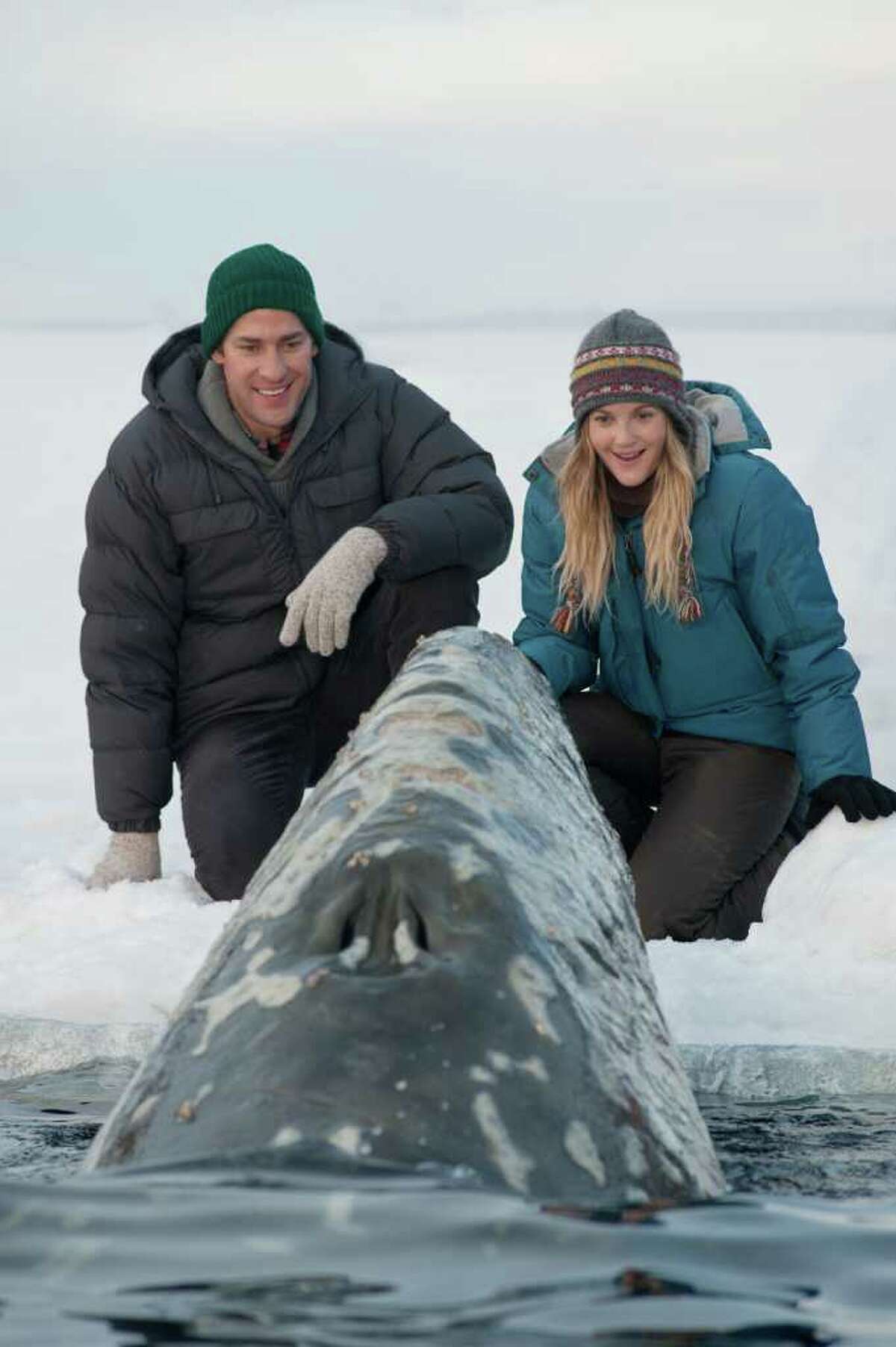 'Miracle' a whale of a tale