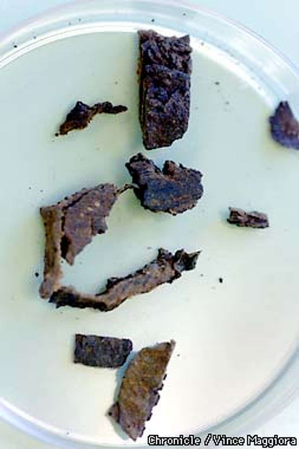 MUMMY Organs Give Clues to Disease / Biopsy performed on 3,500-year-old-boy