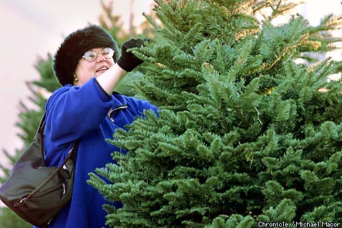 The Christmas Crush / Whether for Fun or Price, Many in Bay Area Cut ...