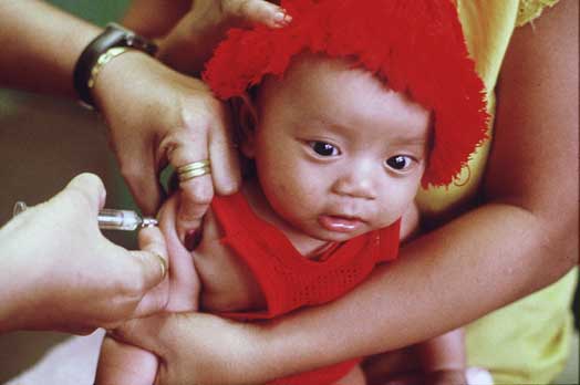 DEADLY NEEDLES / Fast Track to Global Disaster