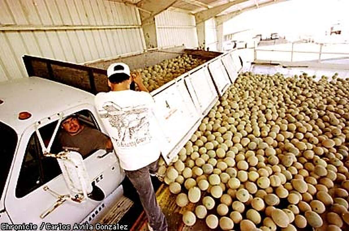 BORDERING ON FUTILITY / CROSSING INTO RURAL POVERTY / Law sets ...