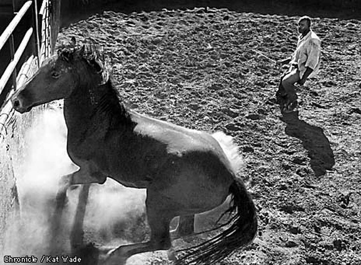 Convicts and Mustangs / Up in the high desert, at the California ...