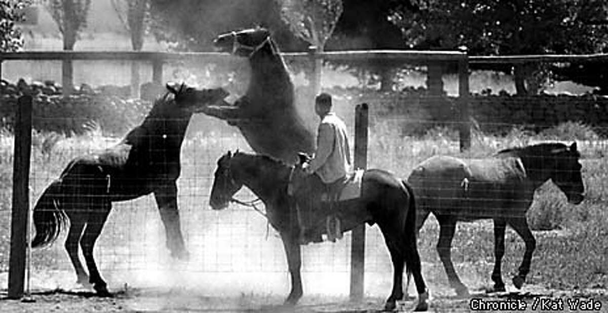 Convicts and Mustangs / Up in the high desert, at the California ...