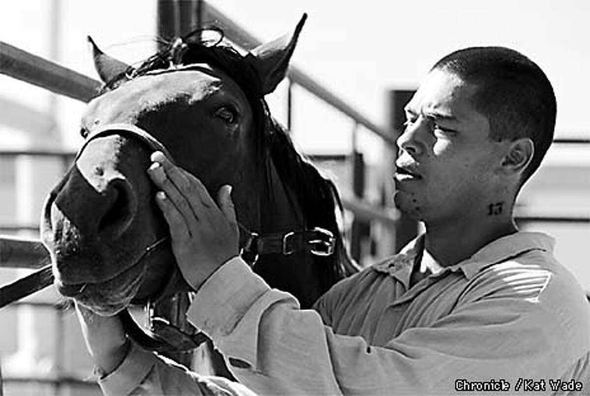 Convicts and Mustangs / Up in the high desert, at the California ...