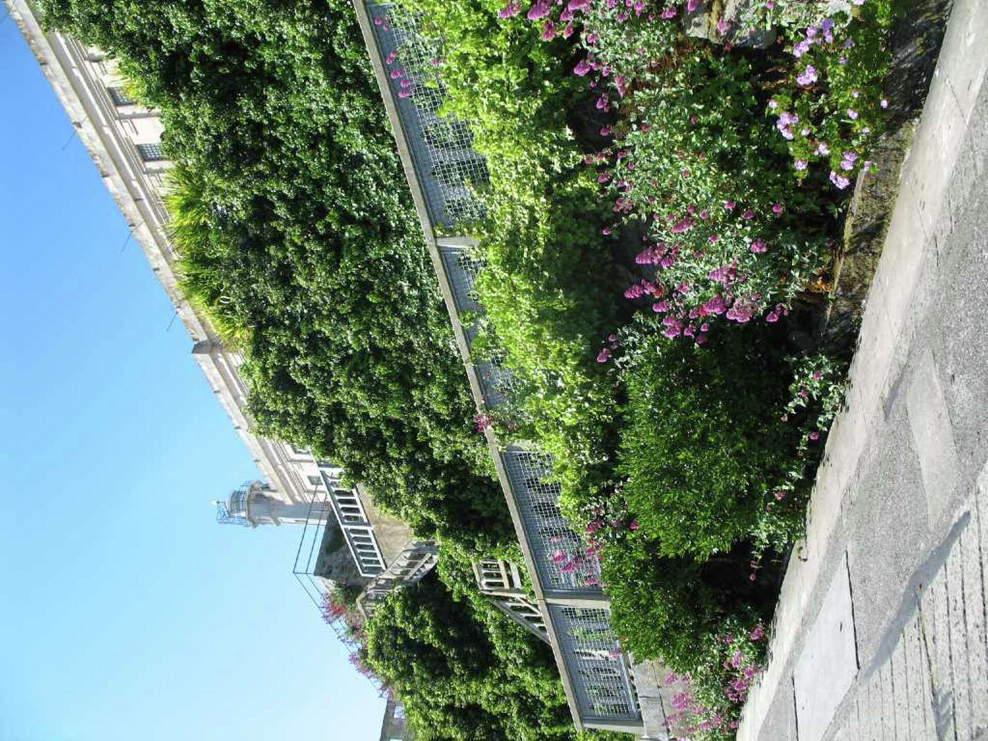 Saving America's garden treasures