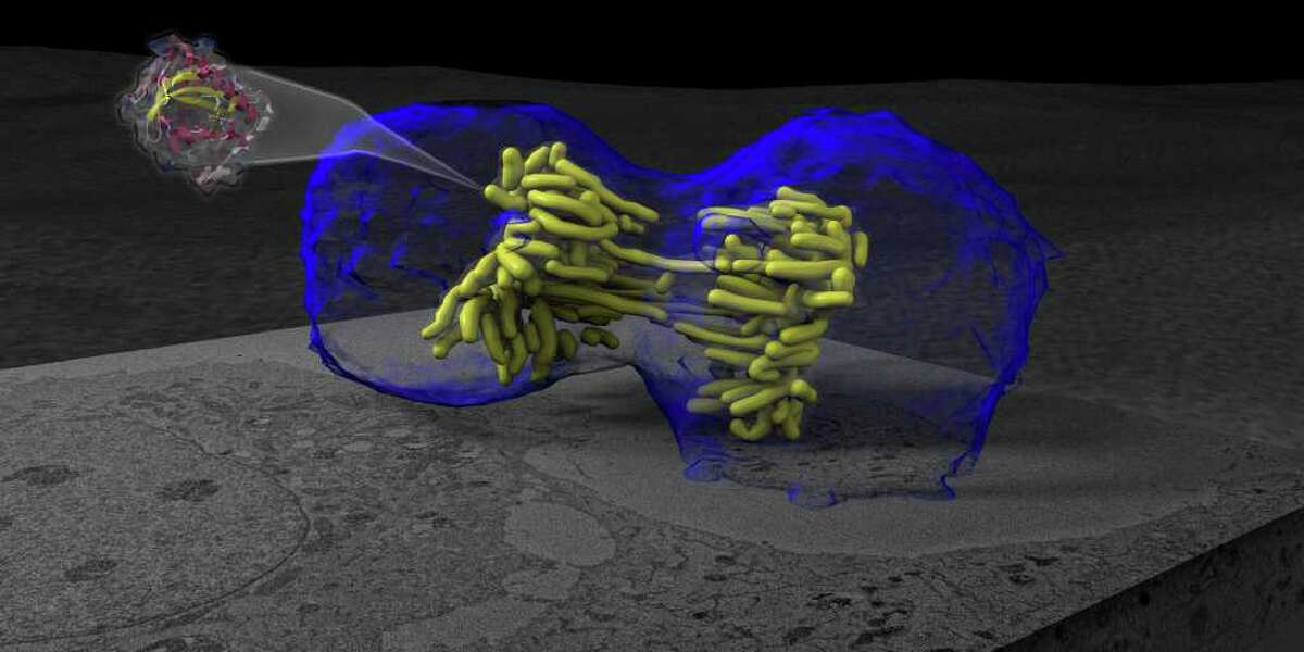 Nerd alert! Cool science photos