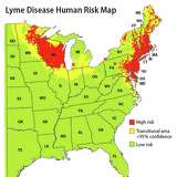 Map reveals Lyme disease risk areas