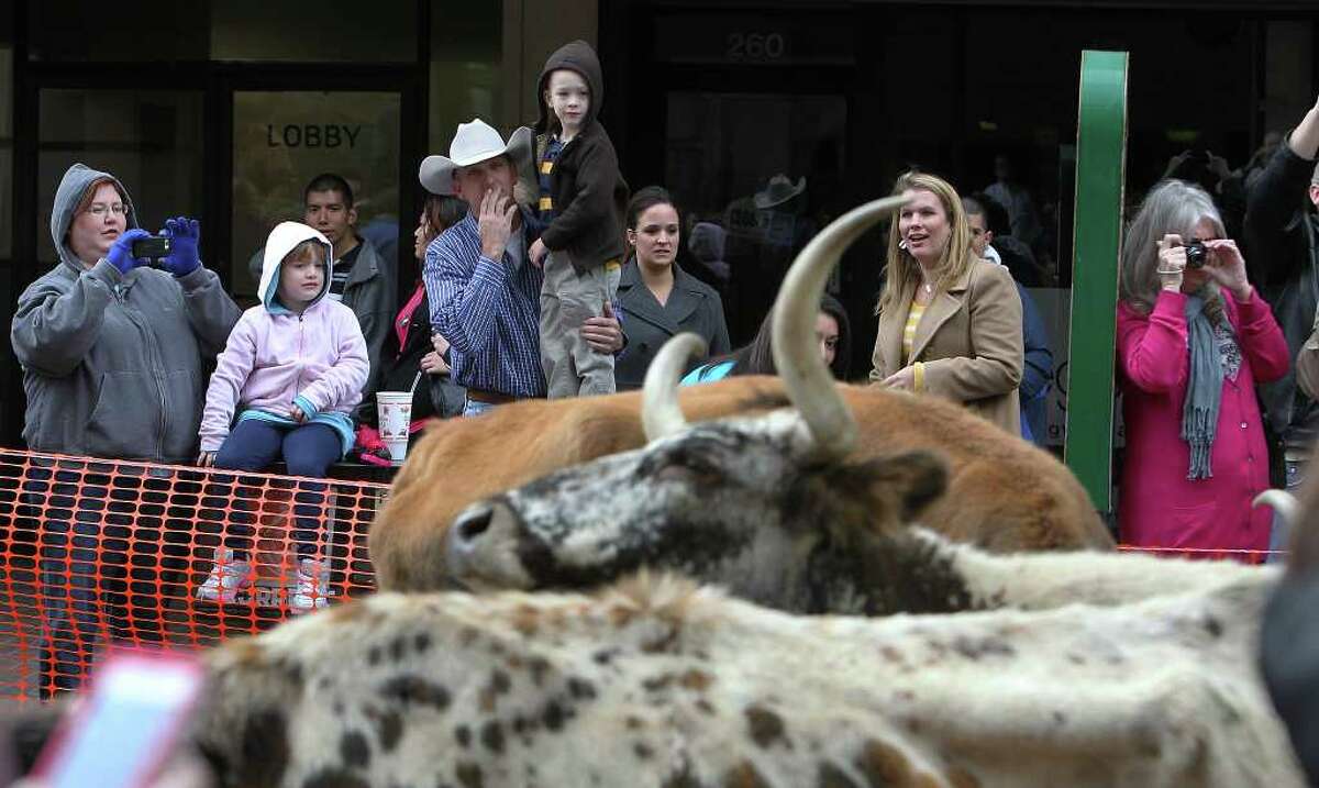 2012 Western Heritage Parade and Cattle Drive