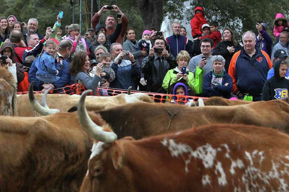 2012 Western Heritage Parade and Cattle Drive