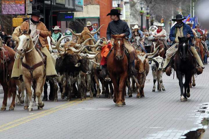 2012 Western Heritage Parade and Cattle Drive