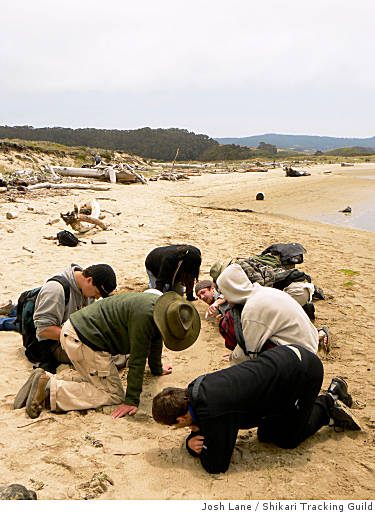 Survival classes thriving despite hard times