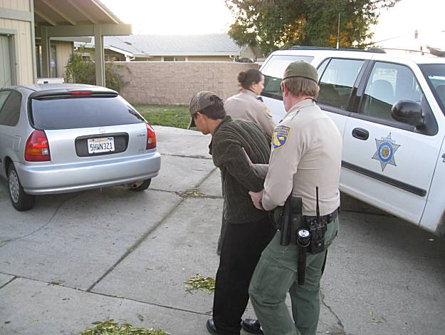 A wild show not always full of justice