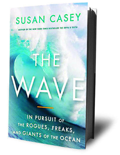 Holiday Books Stocking Stuffers To Doorstoppers