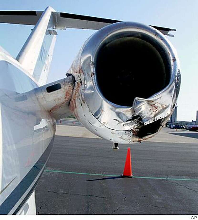 FAA plan to keep bird data secret is scrapped - SFGate