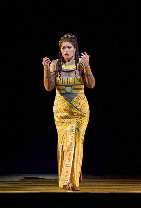 'Aida' by San Francisco Opera review: No subtlety