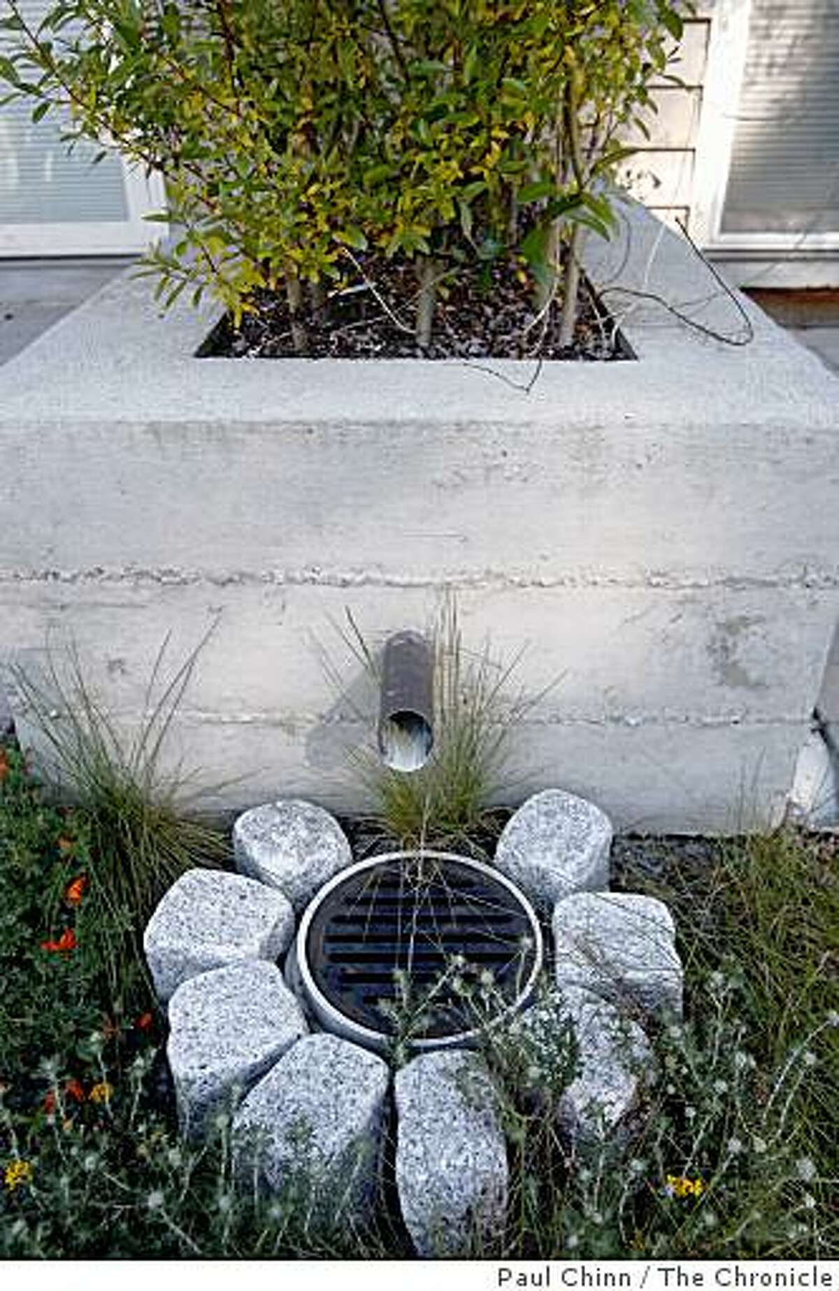 Couple turn home into artificial ecosystem