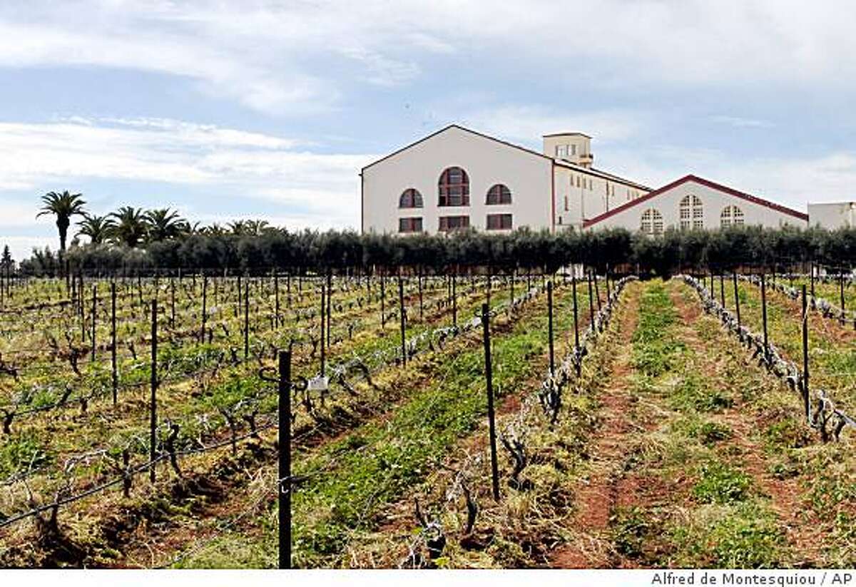 Morocco is largest winemaker in Muslim world