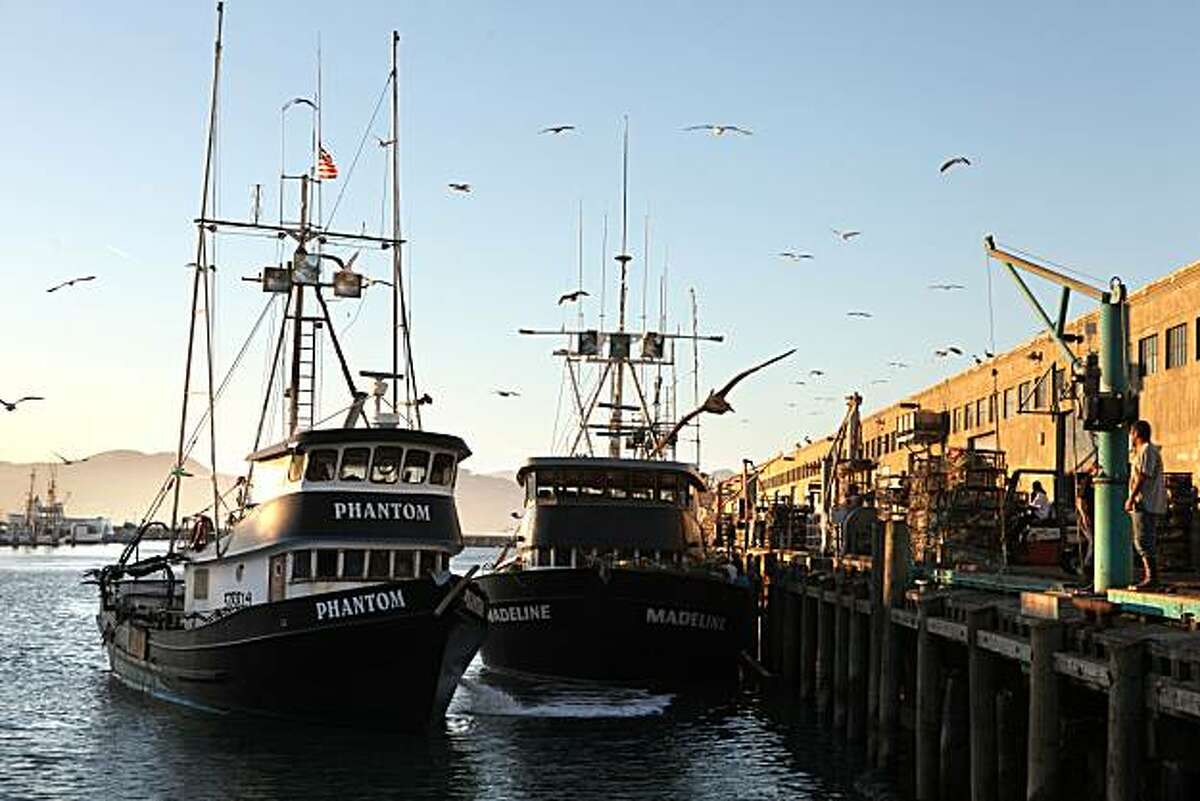 Dungeness crab season opens after short delay