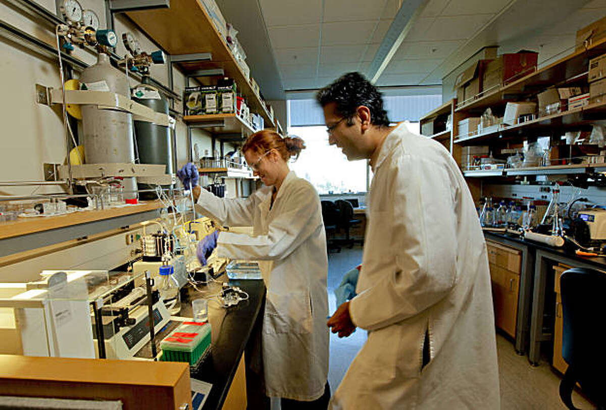 UCSF team working on artificial kidney