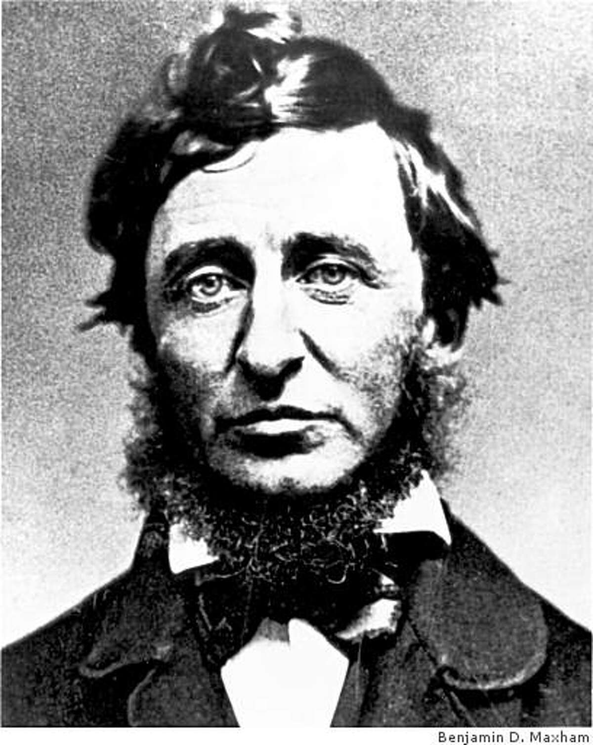 Robert Sullivan's 'The Thoreau You Don't Know'