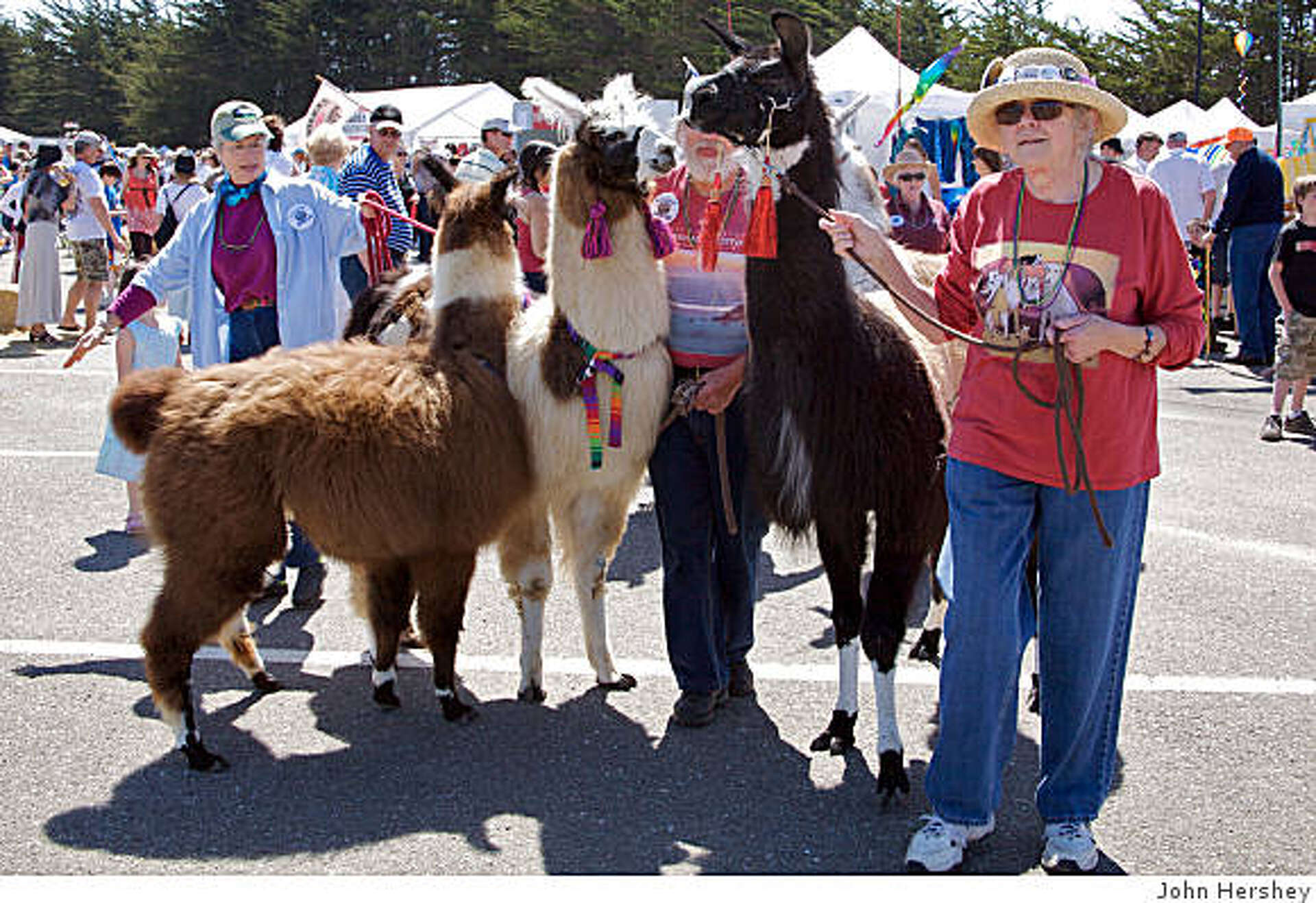 Fisherman's Festival in Bodega Bay