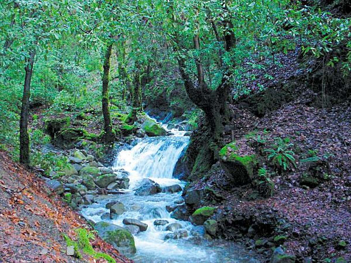 Uvas Canyon County Park: South Bay site has views of fabulous falls