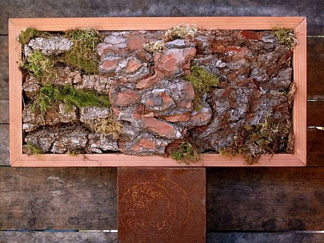 Bug hotels offer wintering spot for garden helpers