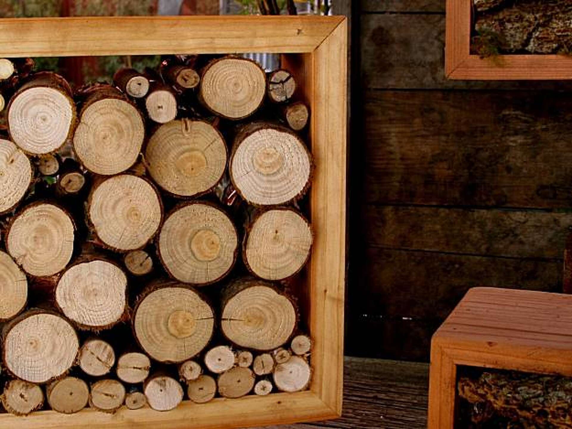 Bug hotels offer wintering spot for garden helpers